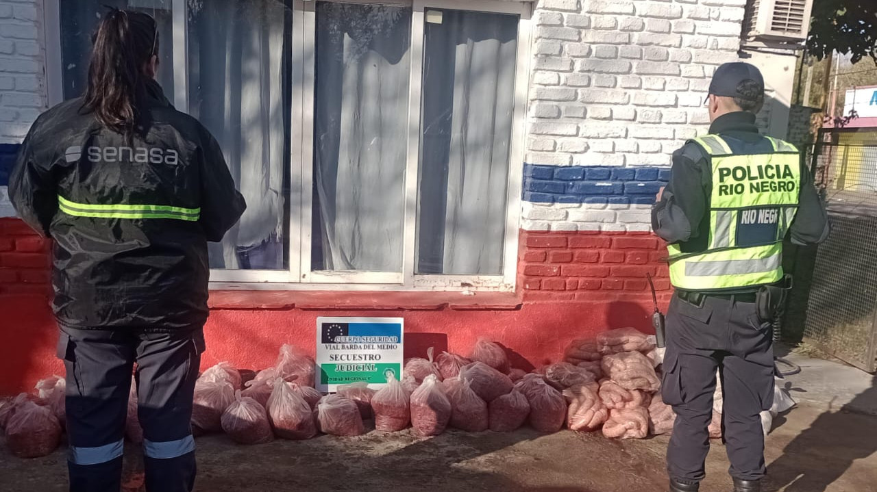 Decomisan cargamento ilegal de alimentos sobre la Ruta Nacional 151 | Gobierno de Río Negro